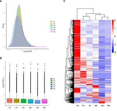 Frontiers | Comparative time-course transcriptome analysis of two contrasting alfalfa (Medicago ...